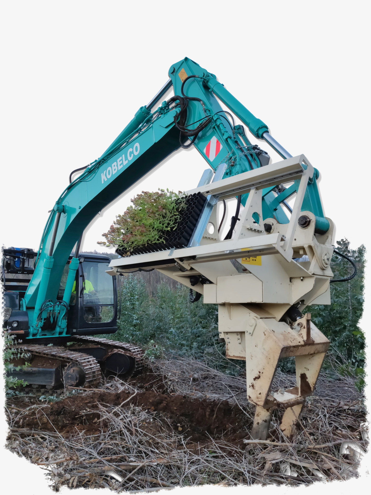 Risutec – Builds the Forest