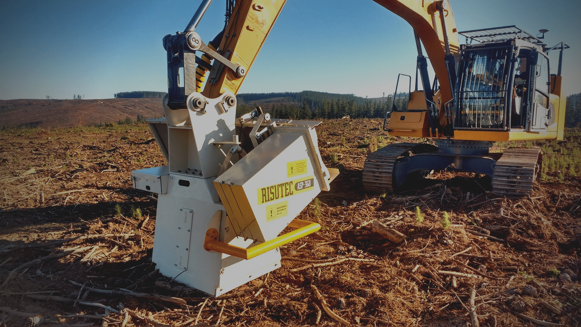 ASP Reforestation for large plantations – Risutec