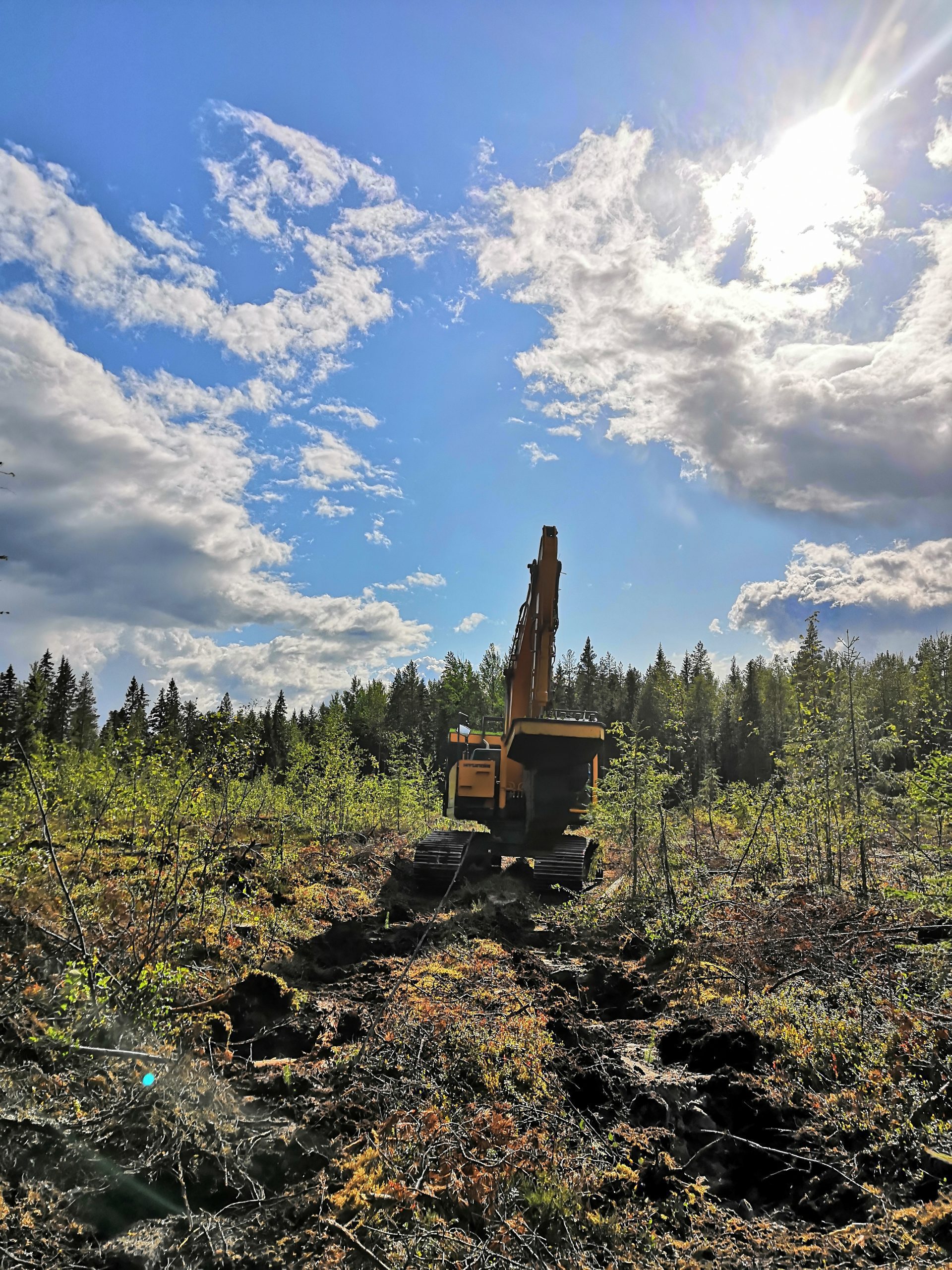 mechanized planting in finland – Risutec